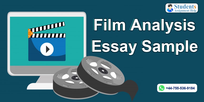 Film Analysis Essay Example | Free Sample Essay For Students